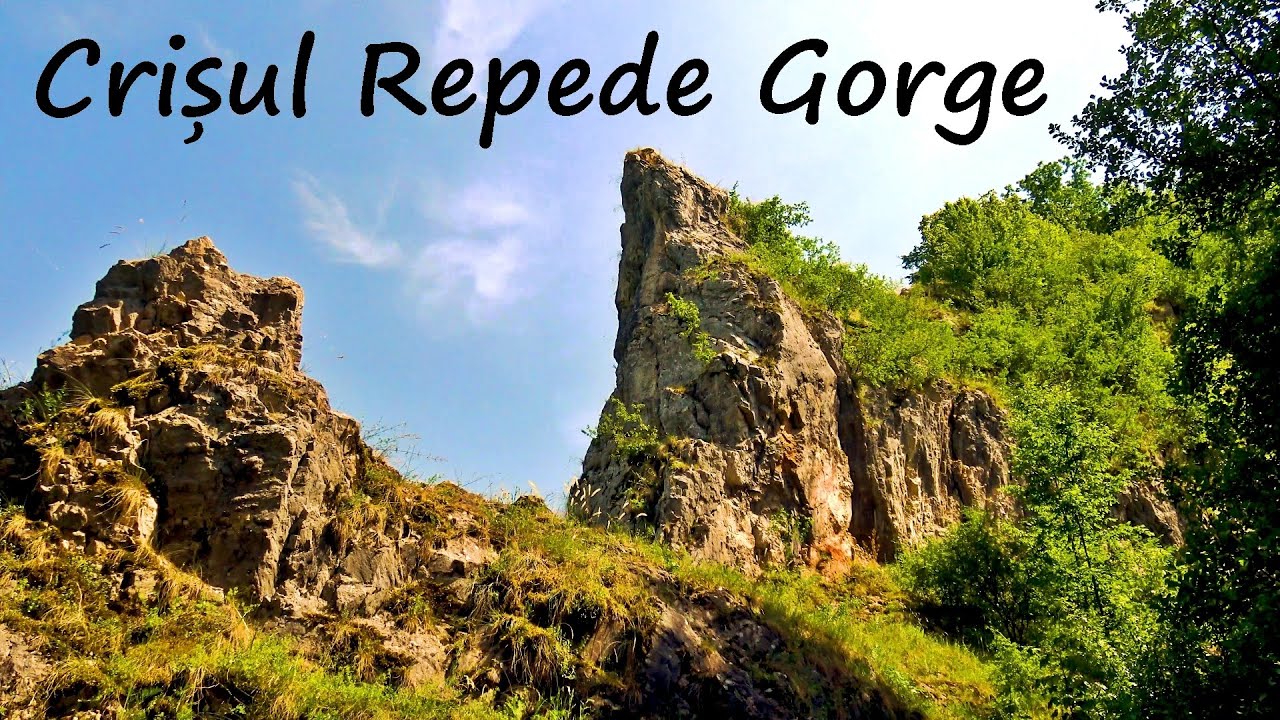 Crisul Repede Gorge (Defileul Crisului) in the Padurea Craiului ...
