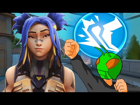 Main NEON TEM PIXEL - YouTube