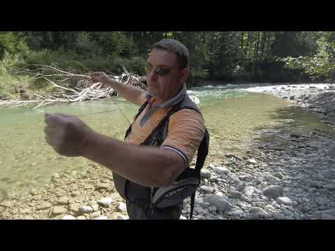 Fliegenfischen an der Ammer