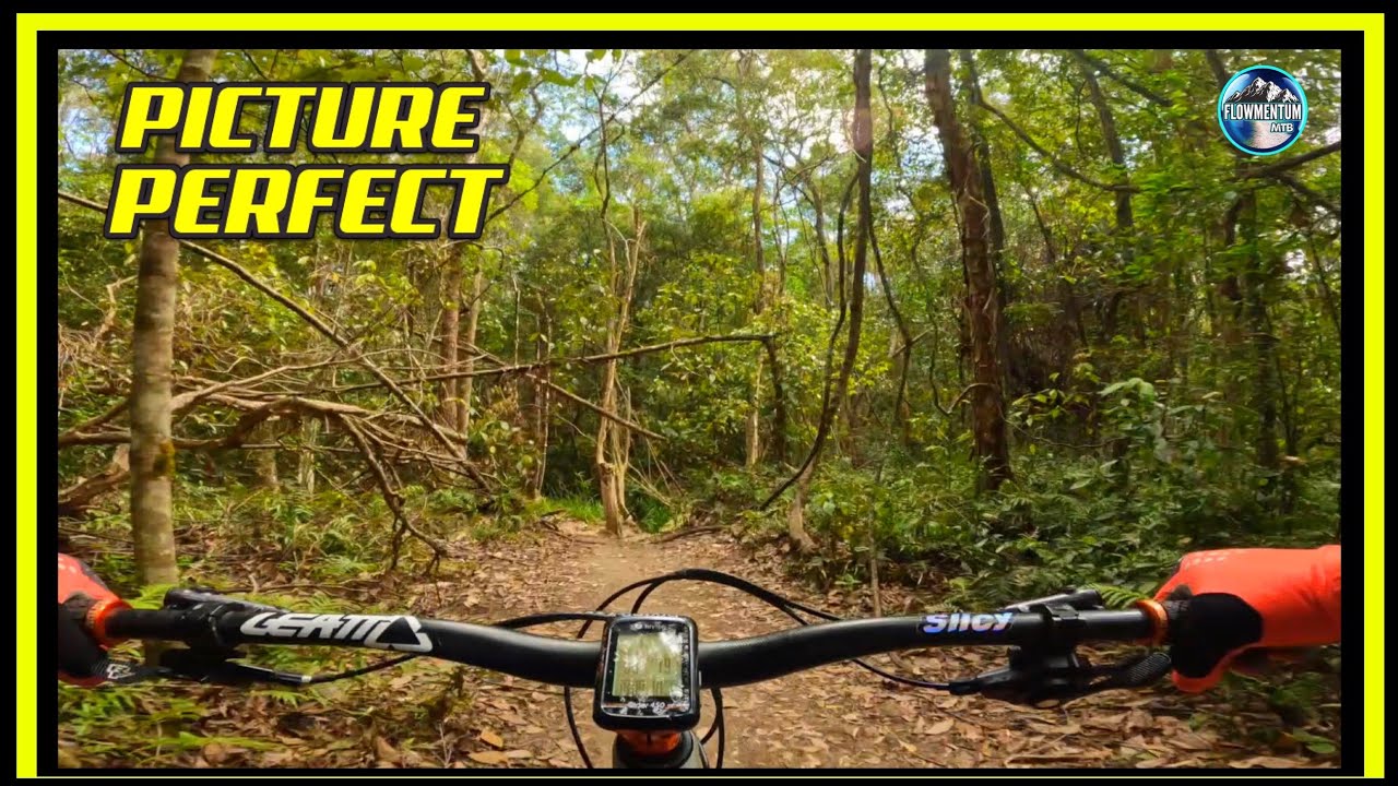 NERANG MTB TRAILS ARE TOUGH / RIDING THE STEEPS W/JOHNNY THE G - YouTube