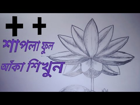 How to draw a warer lily। easy drawing step by step। pencil sketch ...