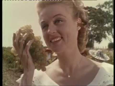 A Pearl from Barossa, c1964 - YouTube