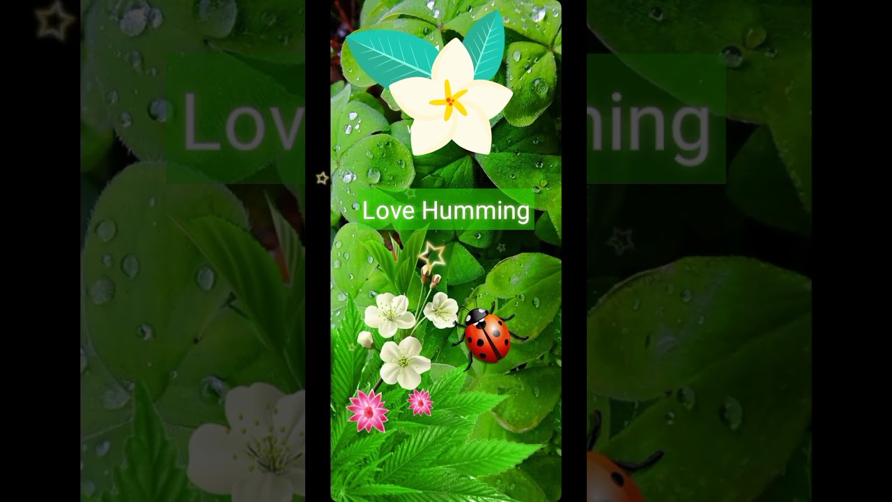 love Humming WhatsApp status - YouTube