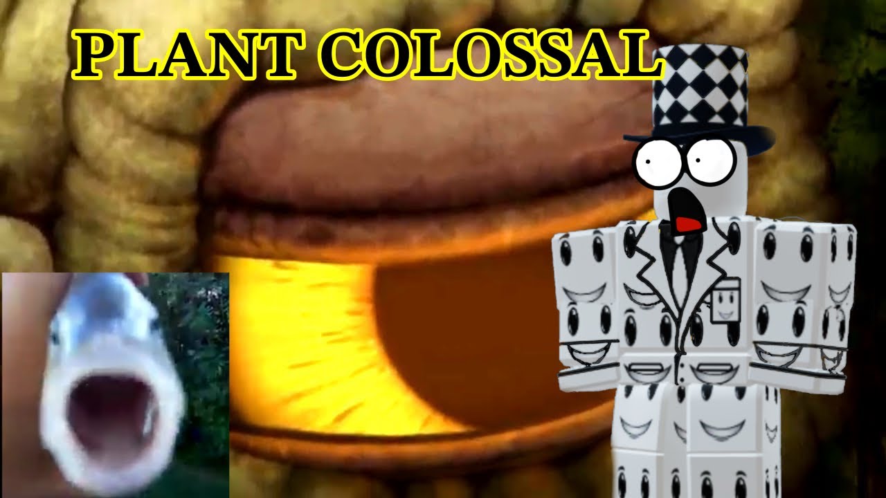 Wake up the colossal! Msm - YouTube