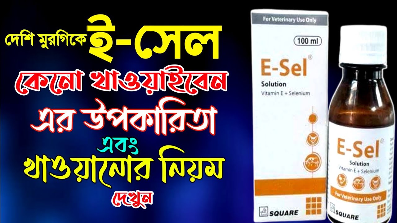 বেশি ডিম উৎপাদনে ই-সেল খাওয়ানোর নিয়ম এবং উপকারিতা |এর দাম | How to use E-sel | E-sel solution ...