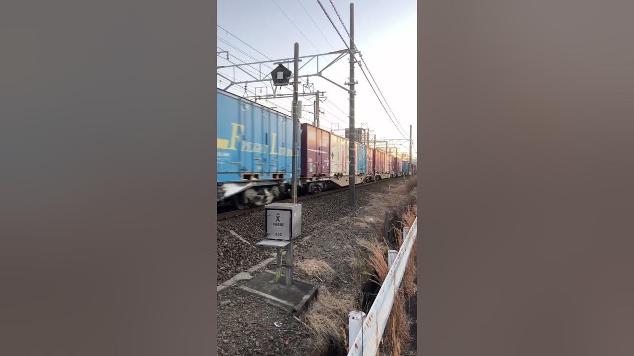 早朝東海道線走るEF65−2092号機牽引貨物列車[5087レ]新鶴見A22 静岡 ︎草薙間[中吉田踏み切り]通過撮影！2025.2.8 - YouTube