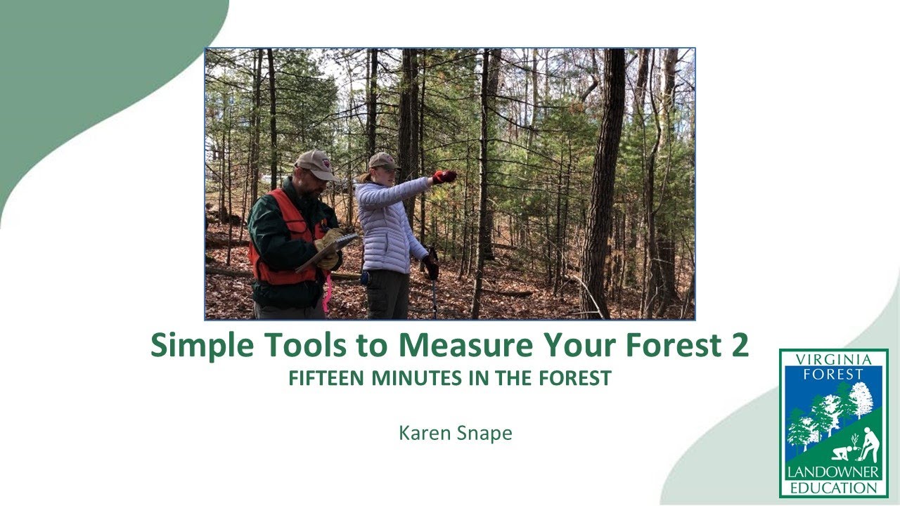 Fifteen Minutes in the Forest: Simple Tools to Measure Your Forest Part ...
