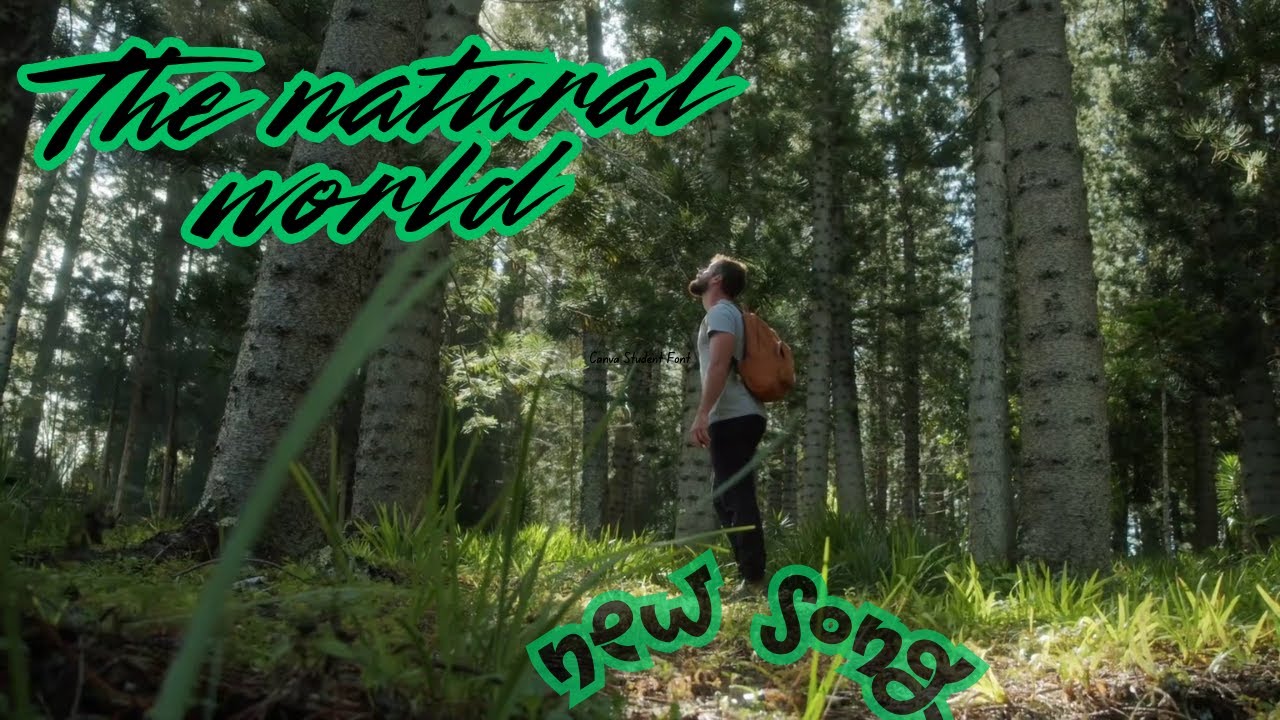 The Natural World | Uplifting Pop Song Celebrating Nature’s Beauty # ...