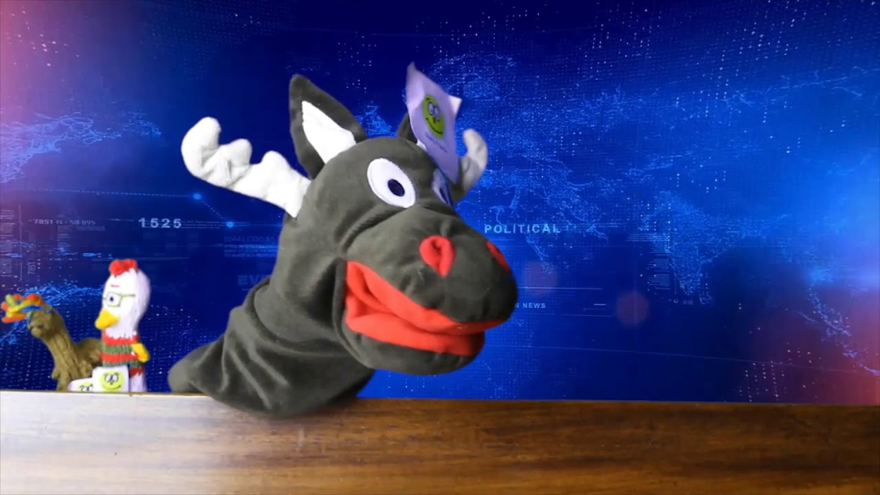 Moose Highlights - YouTube