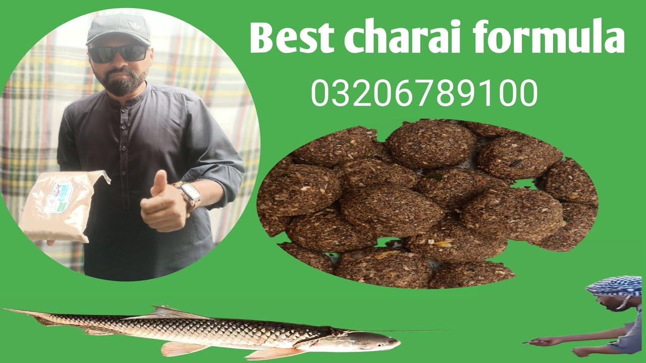 Pakistan fishing|Best Charai formula|آسان طریقہ شکار - YouTube