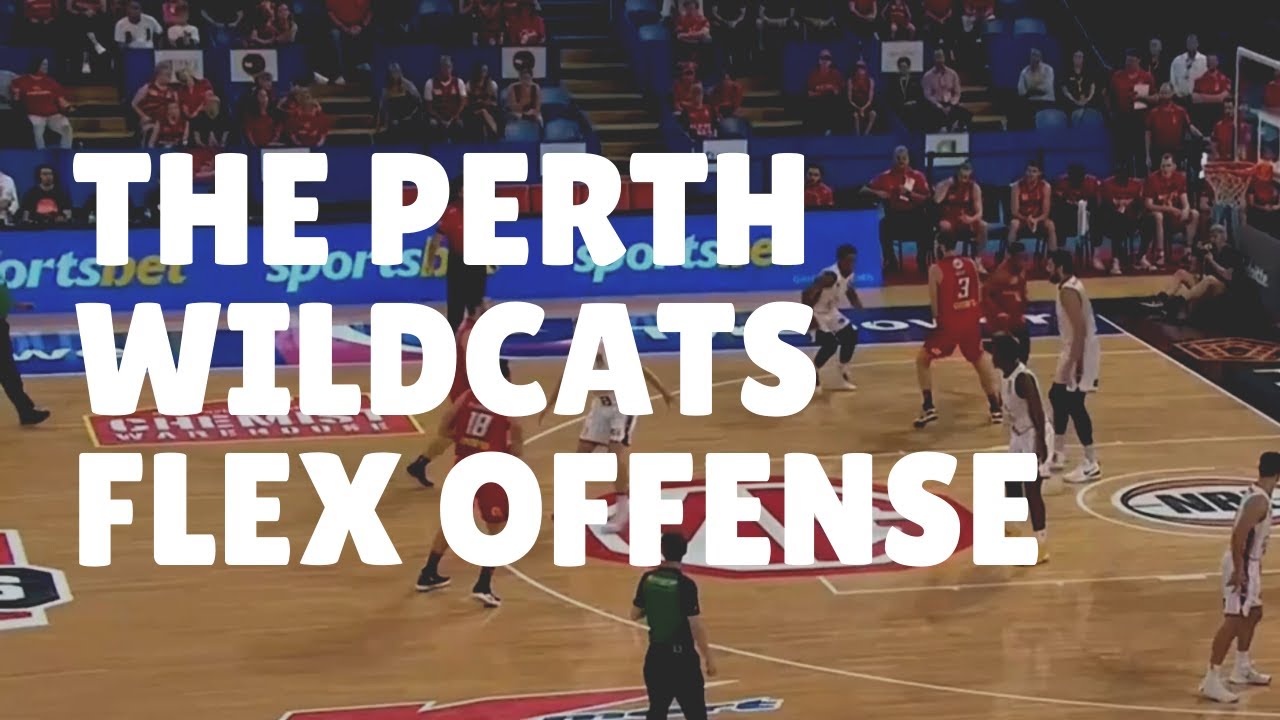 The Perth Wildcats Basketball Flex Offense - YouTube