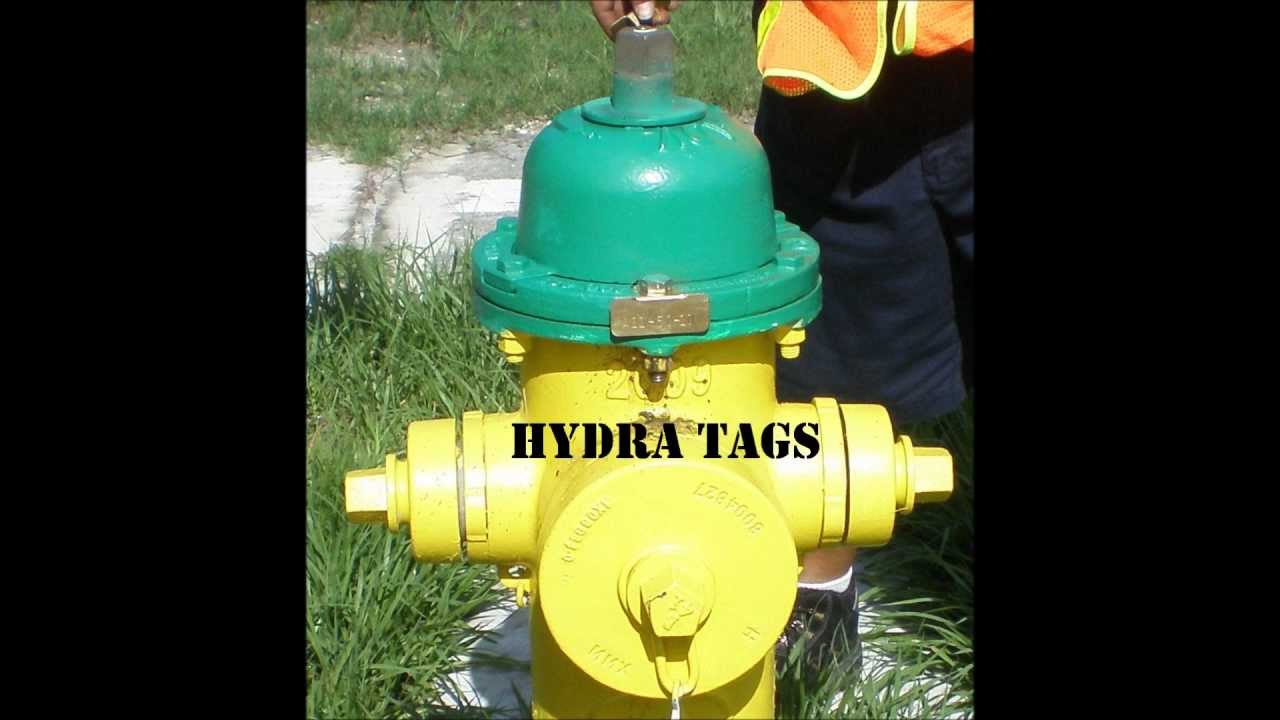 Hydra Tag - YouTube