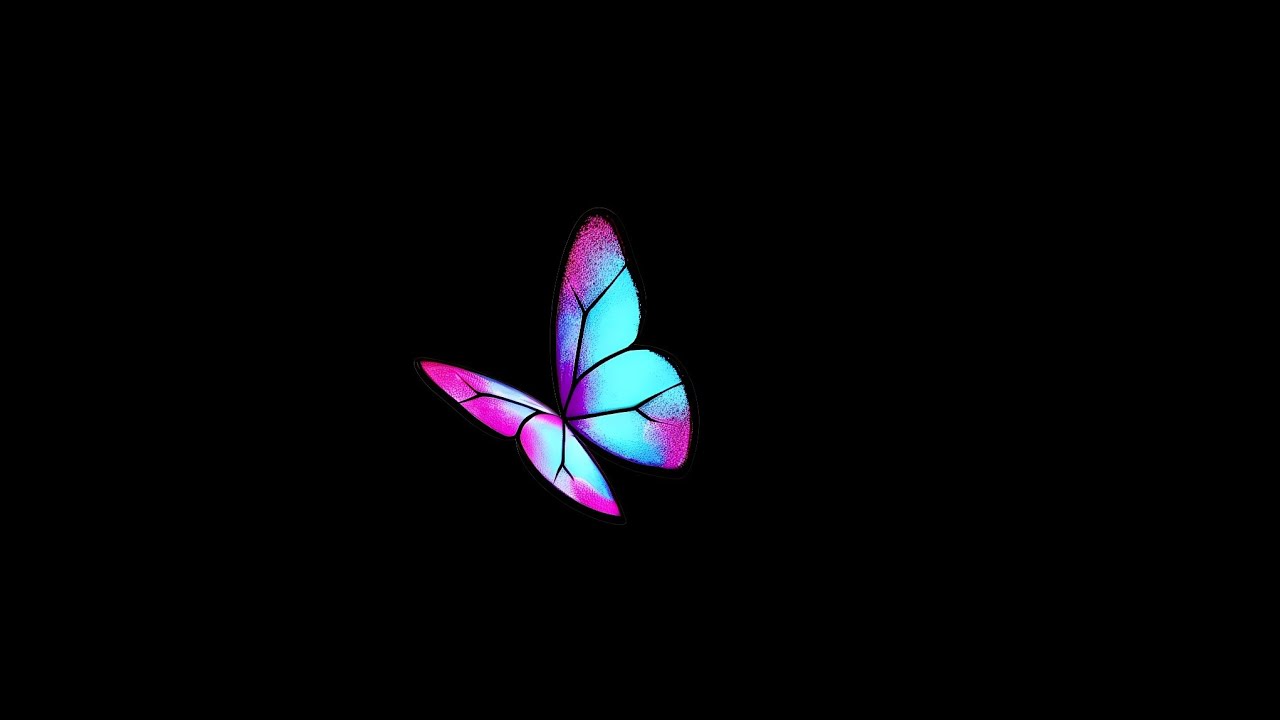 Butterfly glowing effect black screen video | Black screen butterfly ...