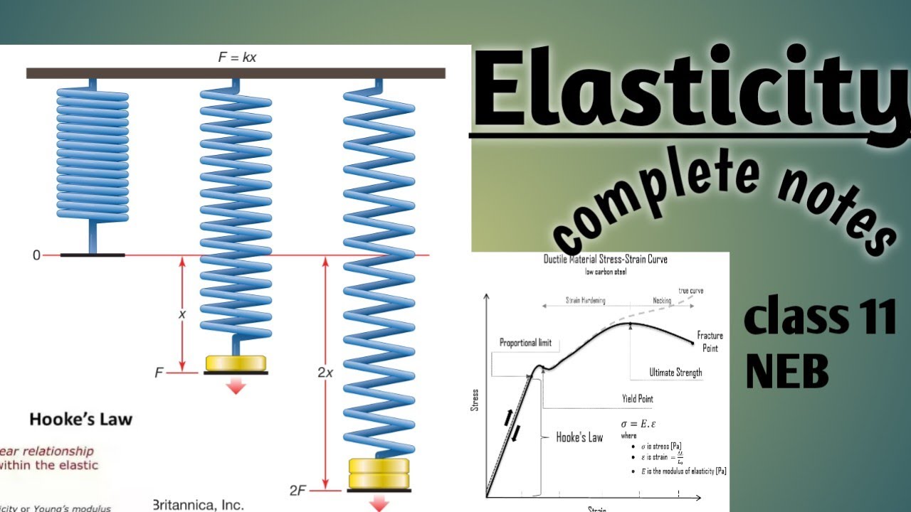 Elasticity/ Class 11 Physics/ NEB Complete notes / with derivations and ...