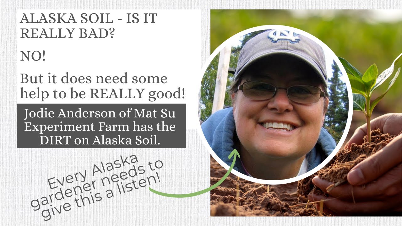 GET THE DIRT ON ALASKA SOIL with SOIL SCIENTIST JODIE ANDERSON - YouTube