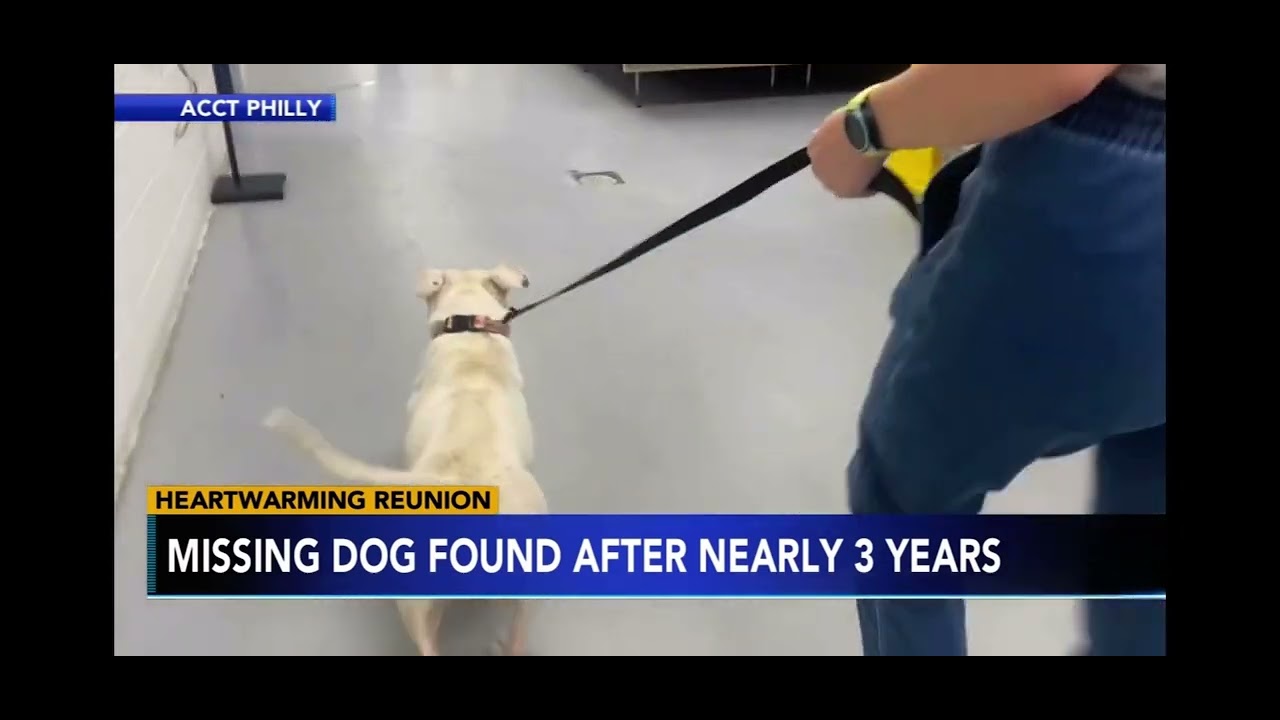 Channel 6 ABC News - Philadelphia on Bentley - YouTube