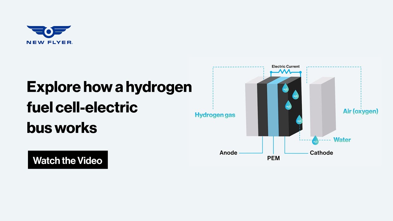 Discover How a Hydrogen Fuel Cell-Electric Bus Works - YouTube