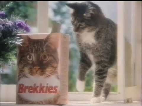 Brekkies Cat Food Commercial | 1986 | Germany