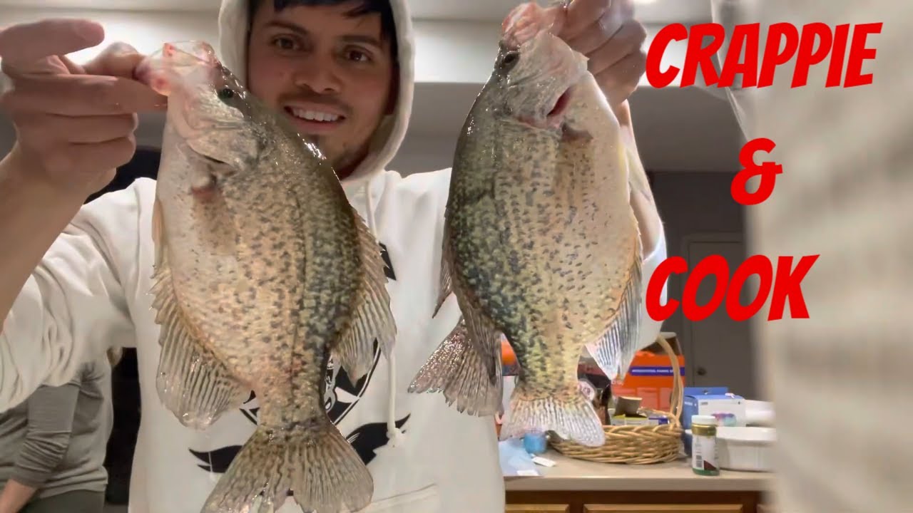 FIRST CRAPPIE CATCH & COOK: Utah crappie ice fishing - YouTube