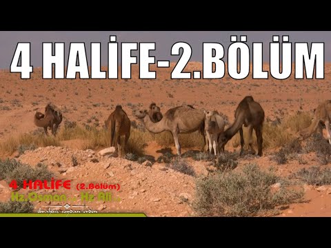 Dört Halife (2.Bölüm) | Hz.Osman (r.a) - Hz.Ali (r.a)