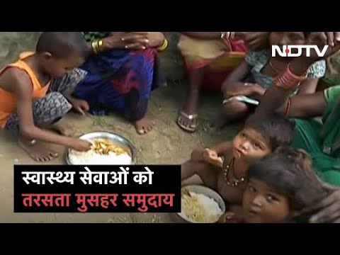 Bihar में Musahar समुदाय को नहीं मिल रही स्वास्थ्य सुविधाएं - YouTube