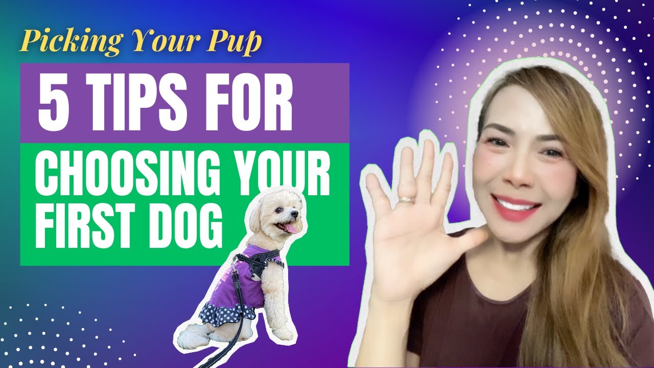 Picking Your Pup: 5 Tips for Choosing Your First Dog - YouTube