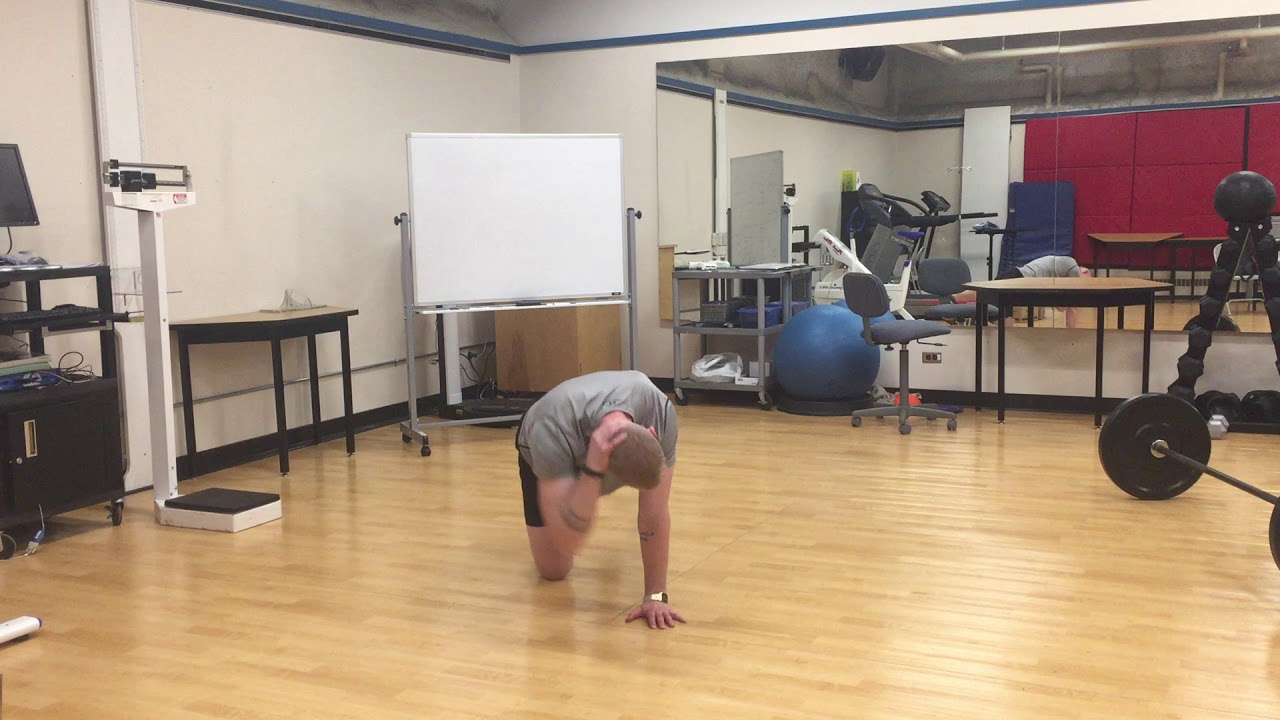 Bird dog w: rotation - YouTube