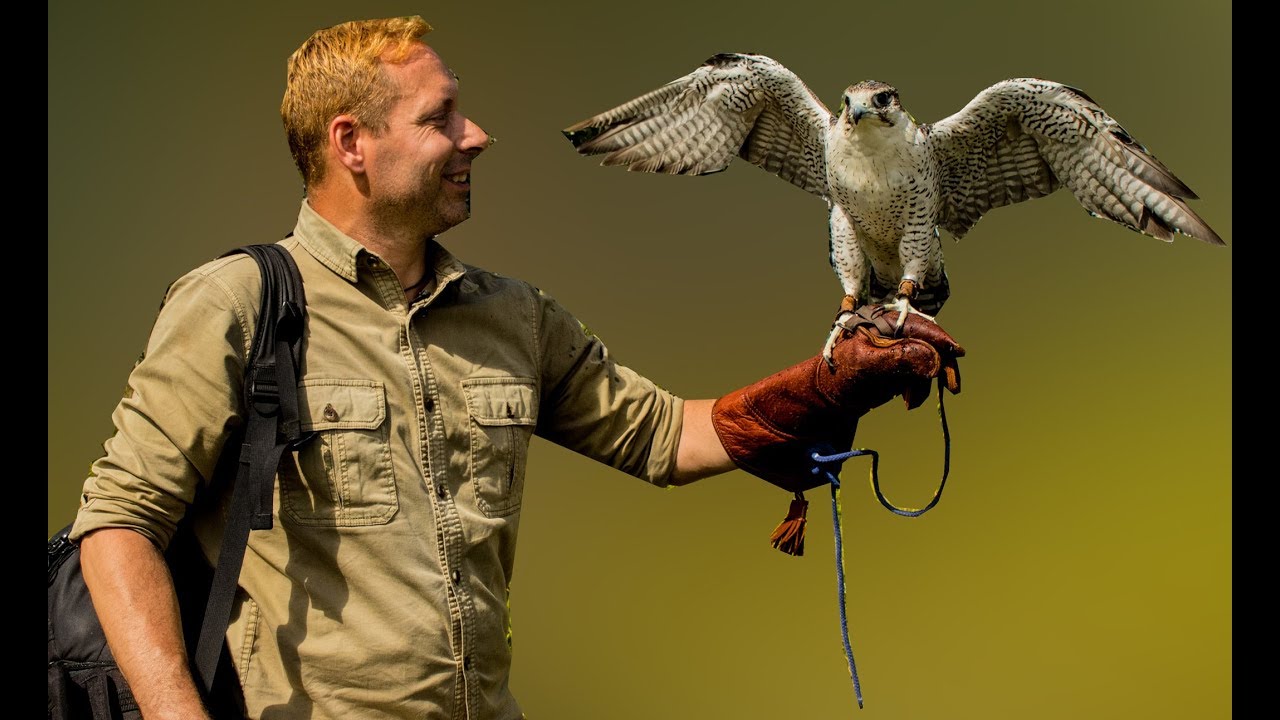 Falcon adventure Teaser trailer - YouTube