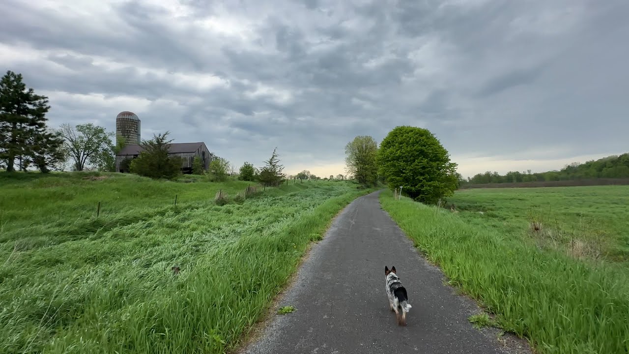 A New Rail Trail Walk On A Humid and Showery Day - YouTube