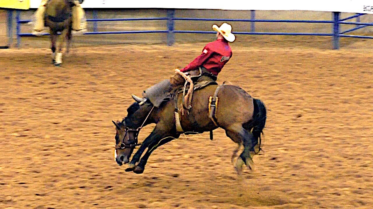 Ranch Broncs - 2019 (32nd) Coors Cowboy Club Ranch Rodeo (Saturday ...