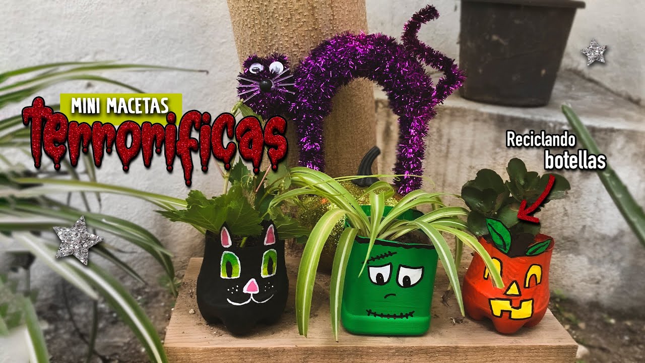🧟‍♂️ MACETAS con BOTELLAS de PLÁSTICO - Macetas con BOTELLAS CUADRADAS ...