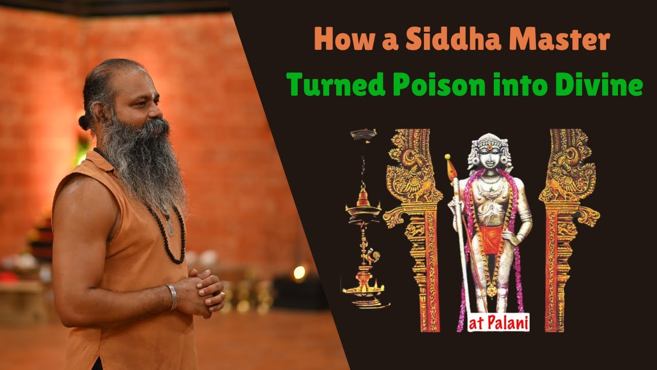 Miraculous Power of Siddha Yoga - From Poison to Divine Experience ...