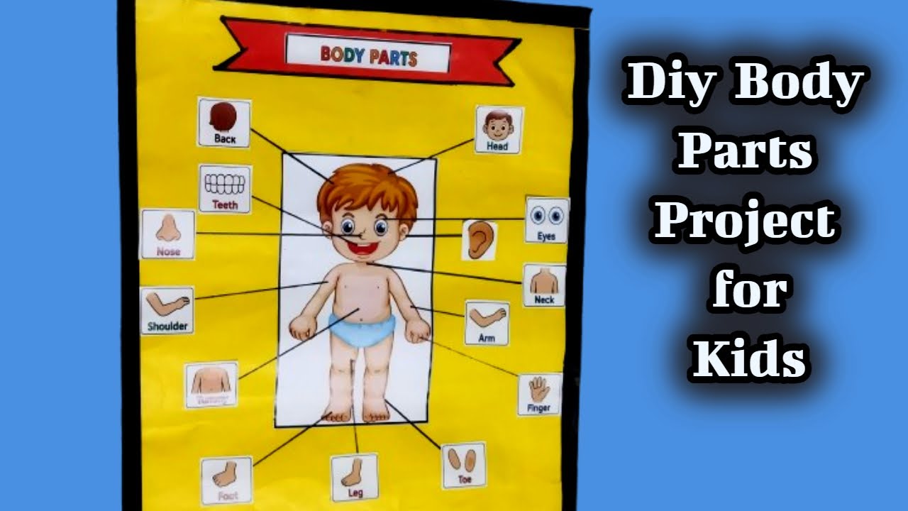 Human Body Parts Project for Kids || Easy TLM on Body Parts - YouTube