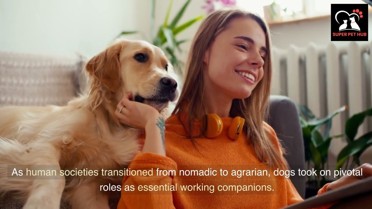 Exploring the Evolution of Dogs as Human Partners - YouTube