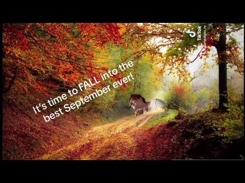 Learn a new language at ABC Languages! - YouTube