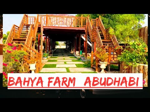 BAHYA FARM | ബഹ്‌യ ഫാം അബുദാബി | A DAY AT FARM - YouTube