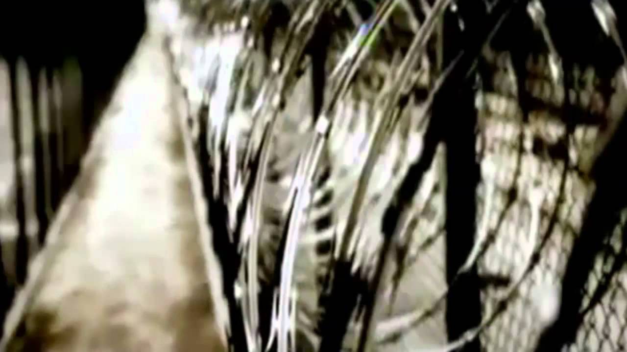 TI ft Justin Timberlake Dead and Gone Official Music Video (HD)! - YouTube
