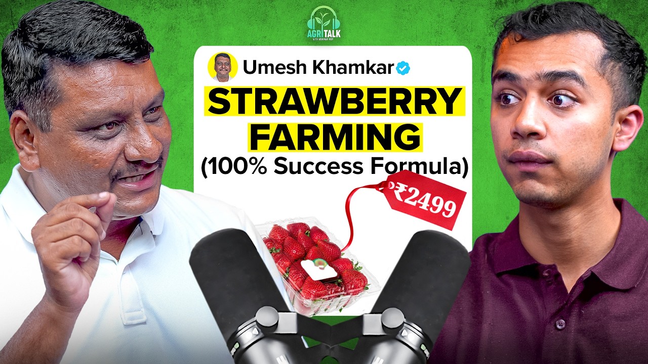 STOP! Strawberry Farming Business Model Explained | Agritalk by Abhinav ...