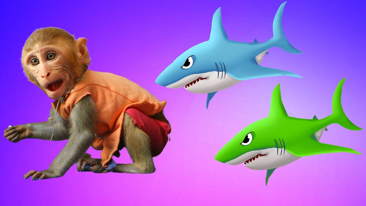 baby shark vs monkey| Nursery Rhymes and Kids Songs - YouTube