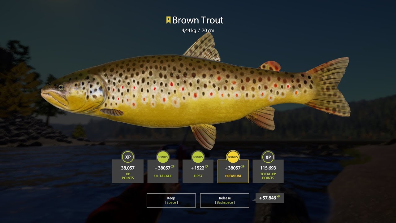 RF4 - Trophy Brown Trout on UL - 4,44kg - YouTube