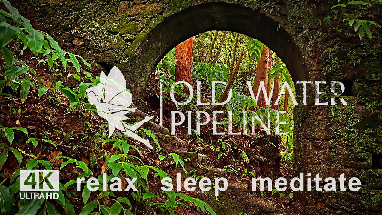 Old water pipeline | relax - sleep - meditate | 4K UHD - YouTube