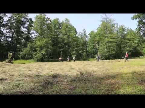 Imagefilm Marktgemeinde Dobl