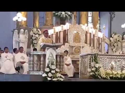BEST HOMILY: BY ARCHBISHOP GILBERT GARCERA ON THE FEAST OF STO. NIÑO ...