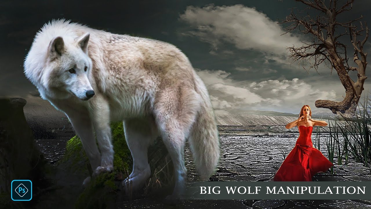 Big Wolf manipulation in just 10 minutes | Photoshop | SATYATEJA - YouTube