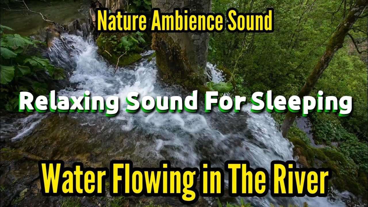 RELAXING AMBIENCE SOUND WATER FLOWING IN THE RIVER - YouTube