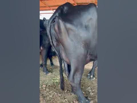 28 October 2023 - YouTube