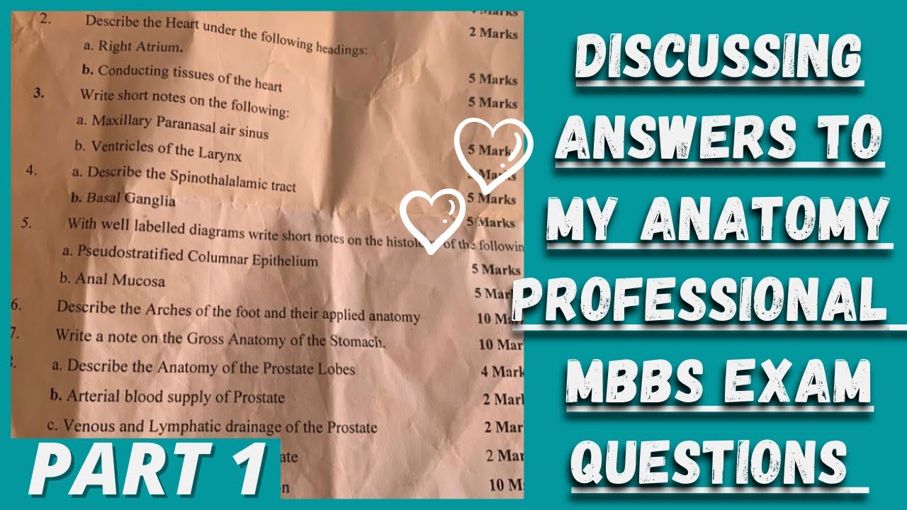 (PART 1) DISCUSSING ANSWERS TO MY ANATOMY PROFESSIONAL MBBS EXAM ...