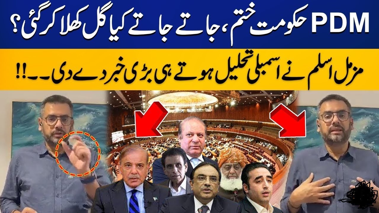What Was The Performance Of The PDM Government? PTI's Muzammil Aslam's ...