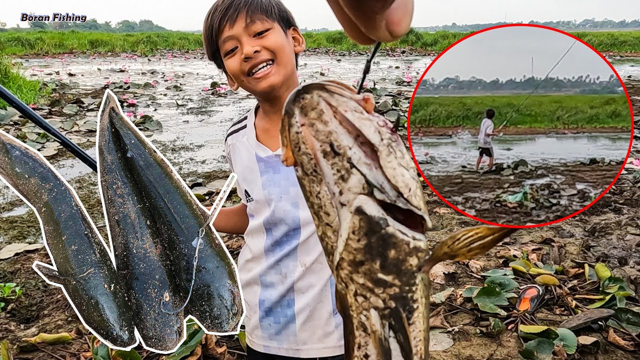 Amazing skill boy 13 yeas old use fresh frog bait to fish the snakehead ...
