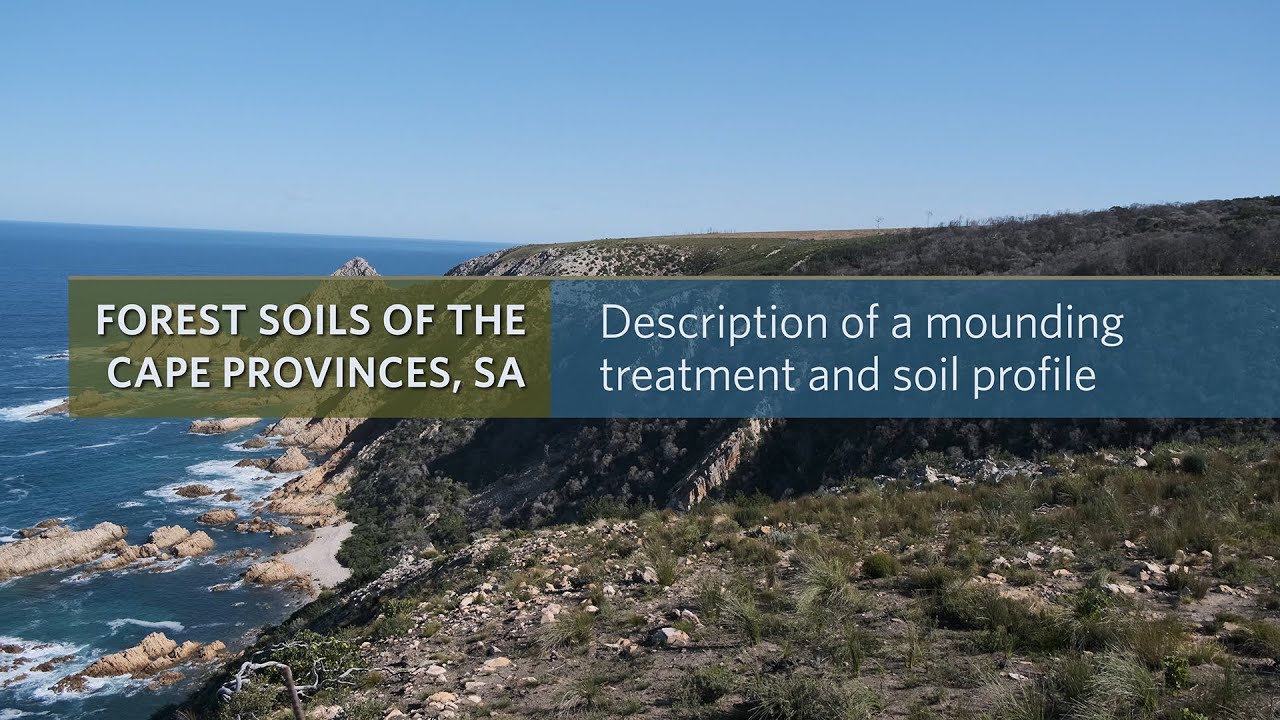 Description of a mounding treatment and soil profile - YouTube